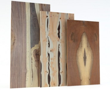 Oddly Refreshing Natural Tree Veneers